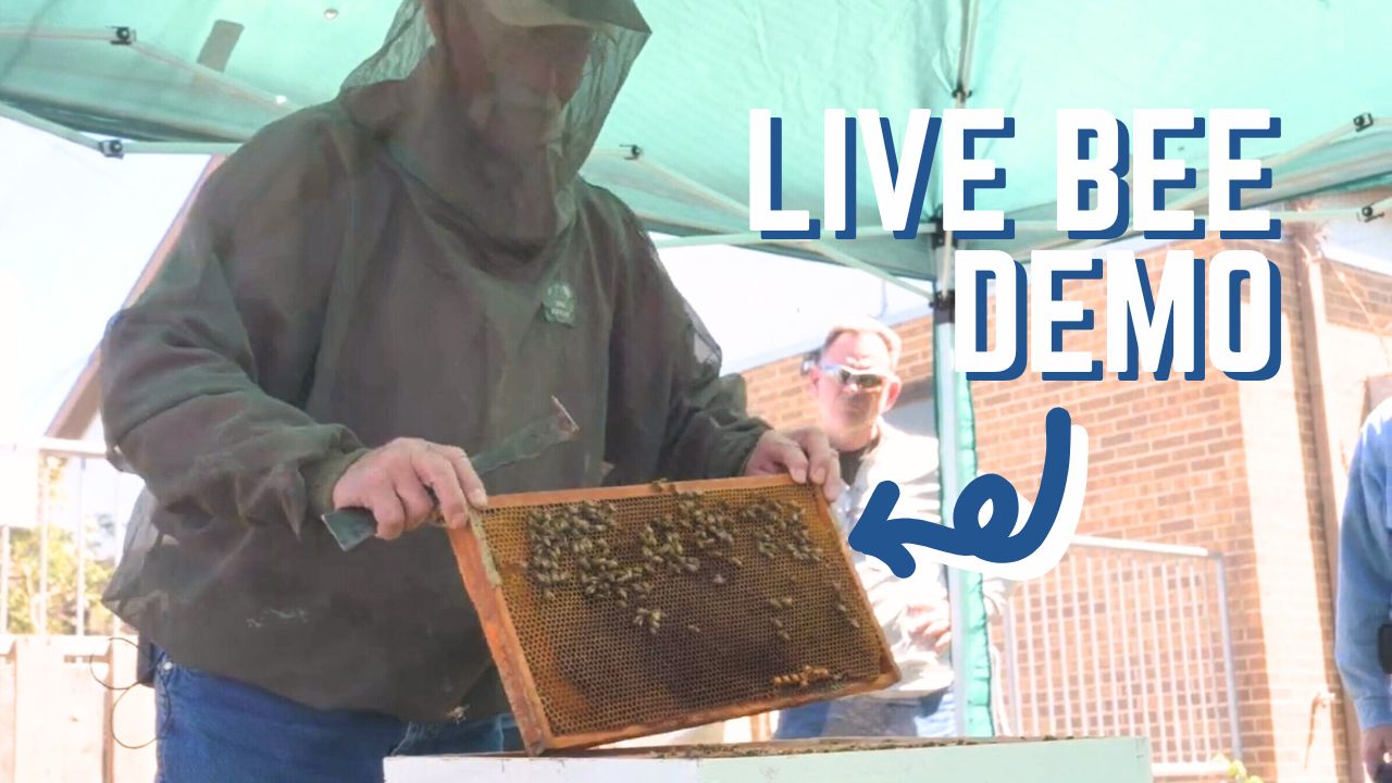 Become a Beekeeper – Videos – Mother Earth News